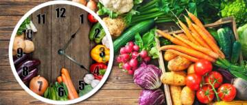 Intermittent Fasting on a Vegan Diet (A Definitive Guide)