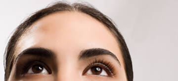 Average Forehead Size: Essential Facts and Measurements