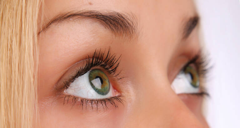 Average Forehead Size: Essential Facts and Measurements